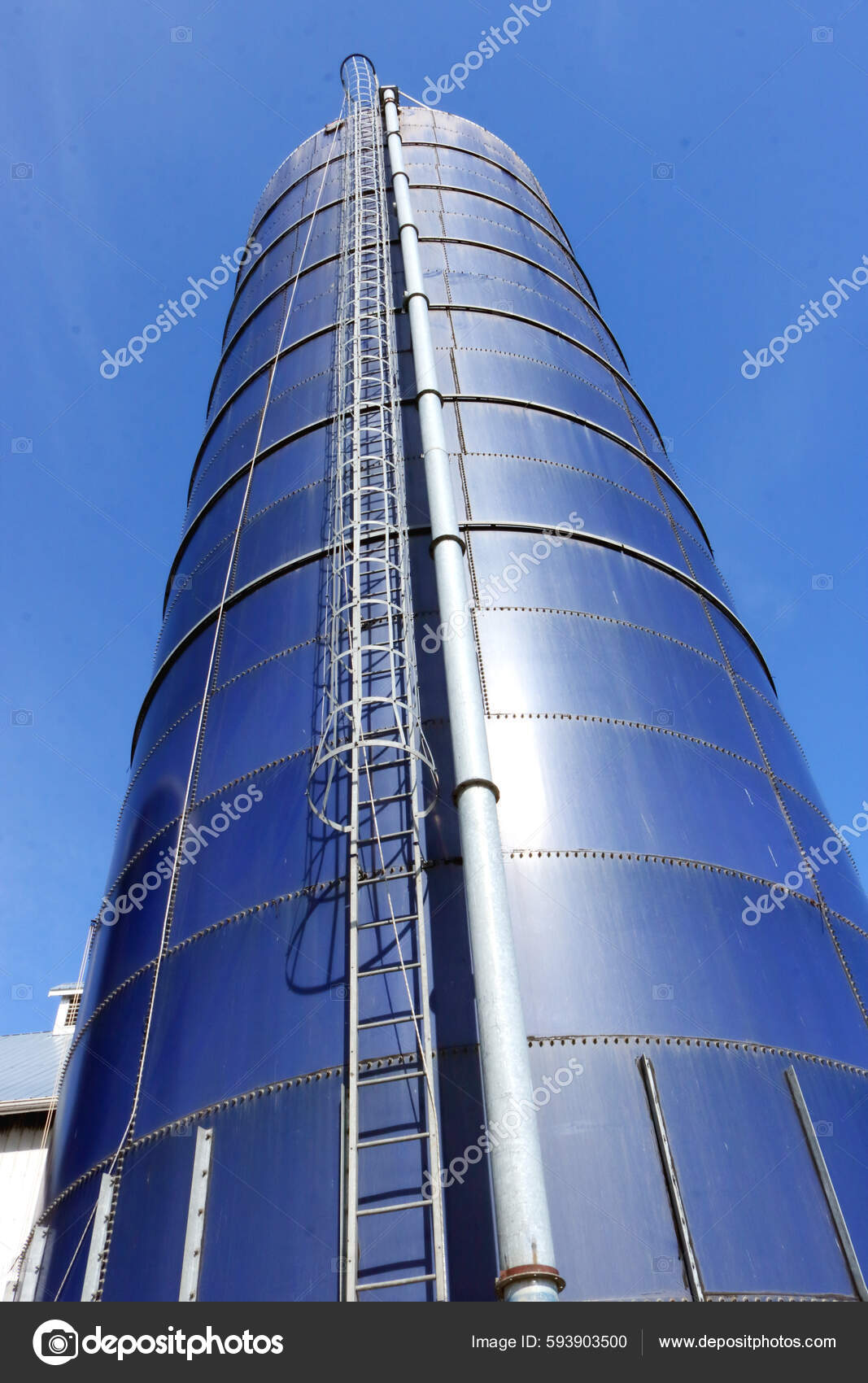 Vertical View Tall Steel Grass Silo Safety Ladder Runs Top — Stock ...