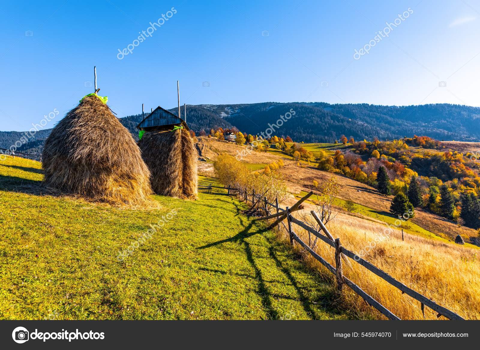 Traditional Haystack Dry Yellow Hay Wooden Roof Built Long Poles ...