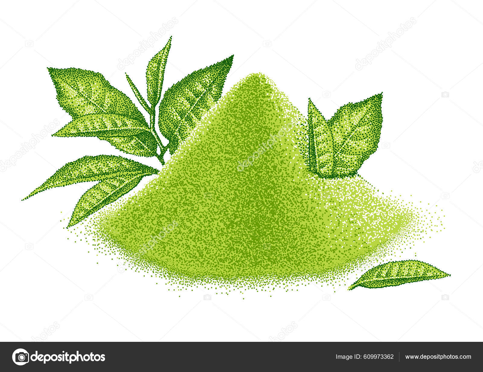 Matcha Set Powder Leaves Green Tea Realistic Sketch Traditional ...