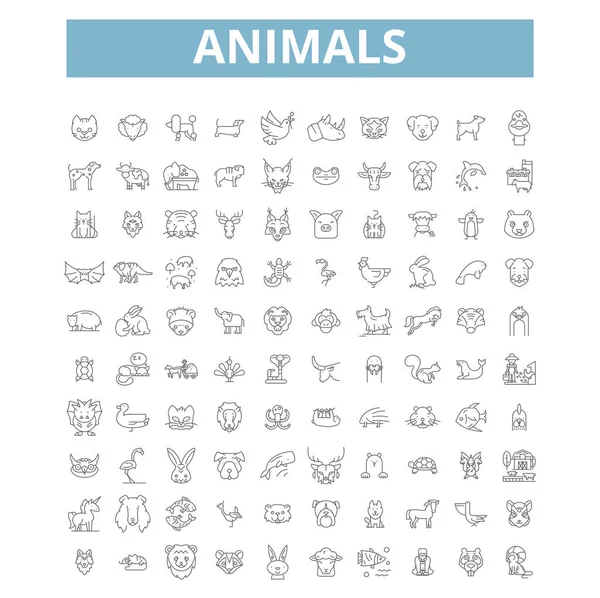 Animal chart Imágenes Vectoriales, Gráfico Vectorial de Animal chart ...