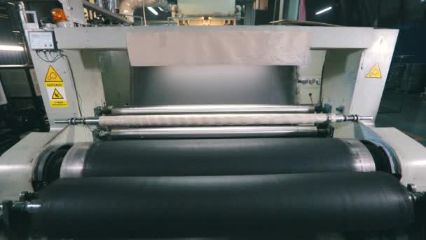 Production of agrofibre at the factory. Agrofibre on the conveyor line ...