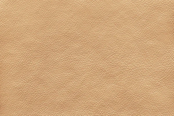 Beige leather texture background suede texture - Stock Image - Everypixel