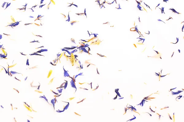 Corn cells Images - Search Images on Everypixel