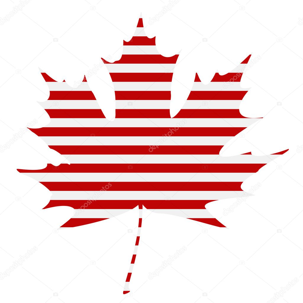 Striped Maple Leaf Silhouette Stock Vector Image by ©benjaminlion #13846007