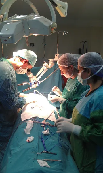 Neurosurgeon Stock Photos, Royalty Free Neurosurgeon Images | Depositphotos