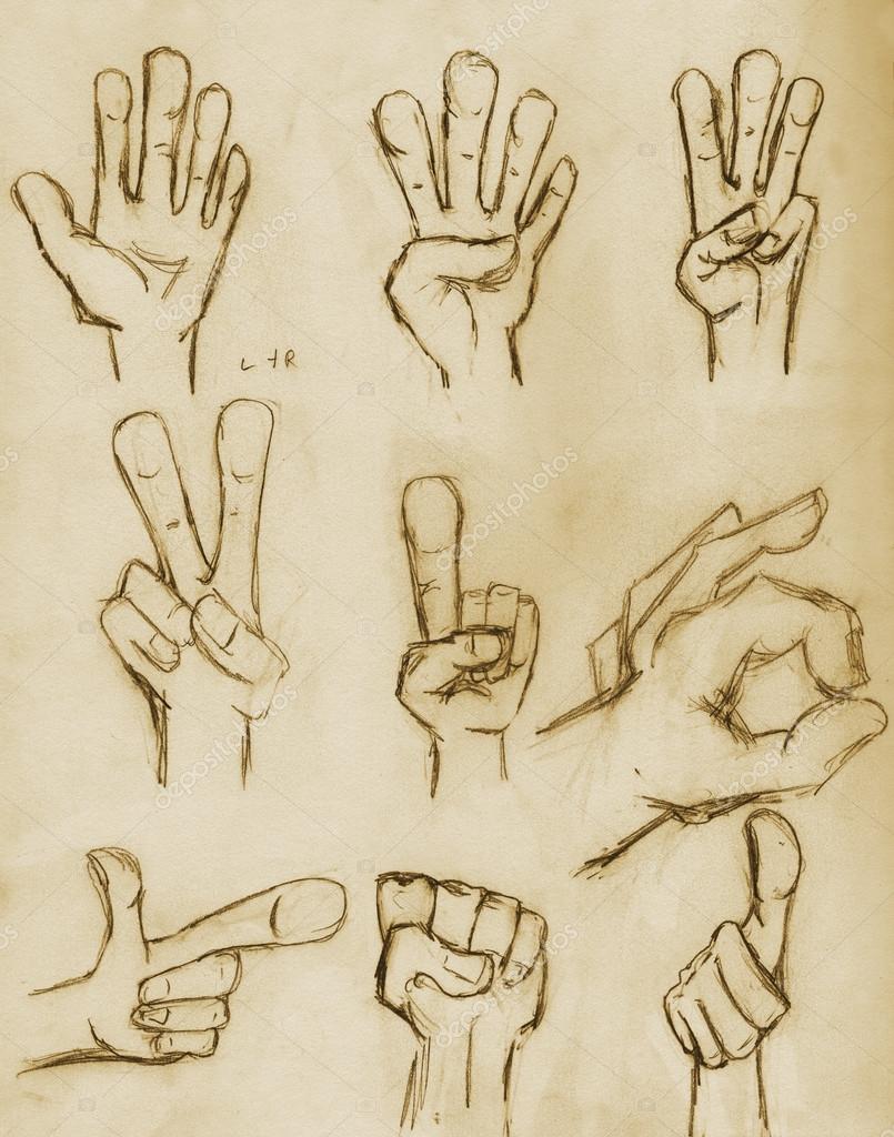 Vintage Pencil Drawn Hands Stock Illustration by ©THPStock #14891467