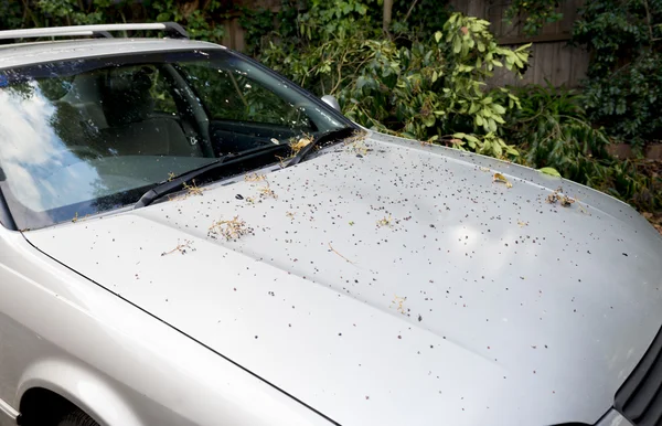 Dirty car Stock Photos, Royalty Free Dirty car Images | Depositphotos