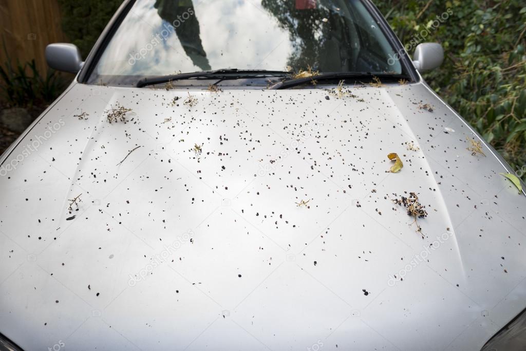 Dirty Car — Stock Photo © THPStock #50379381