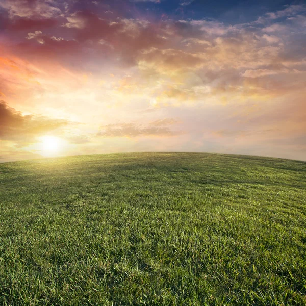 Grassy field sunset — Stock Photo © kevron2002 #30827593
