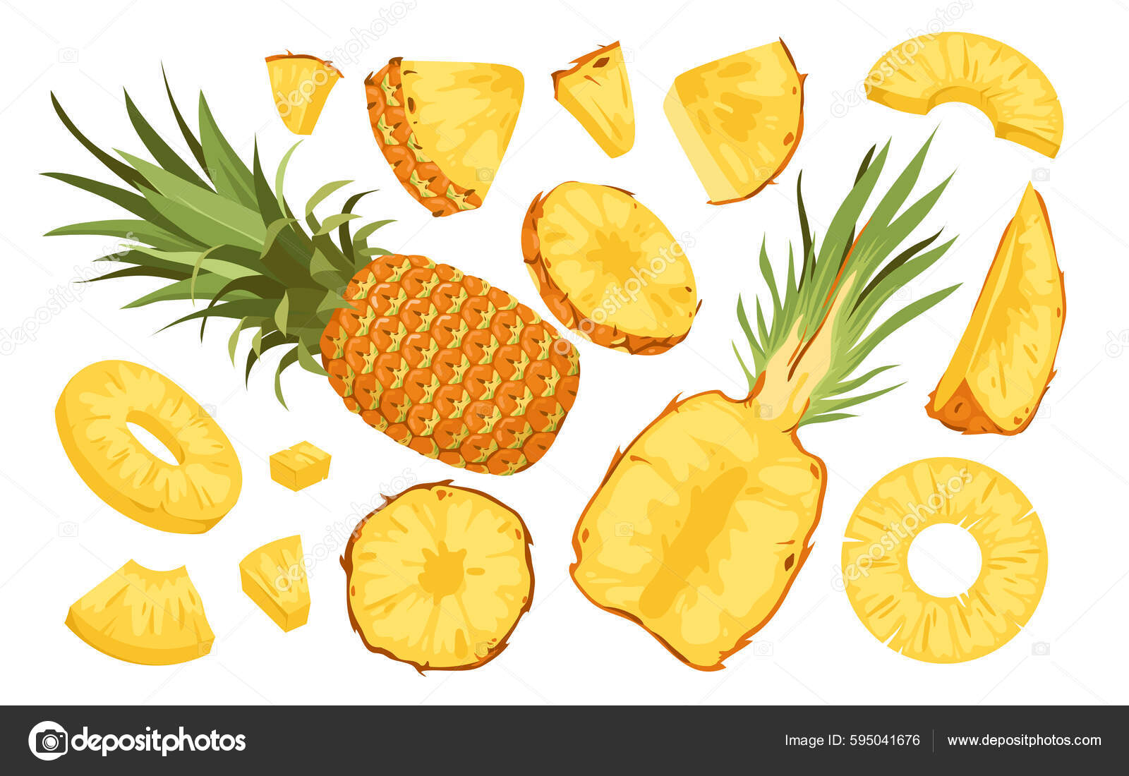 Pineapple Slice Vector