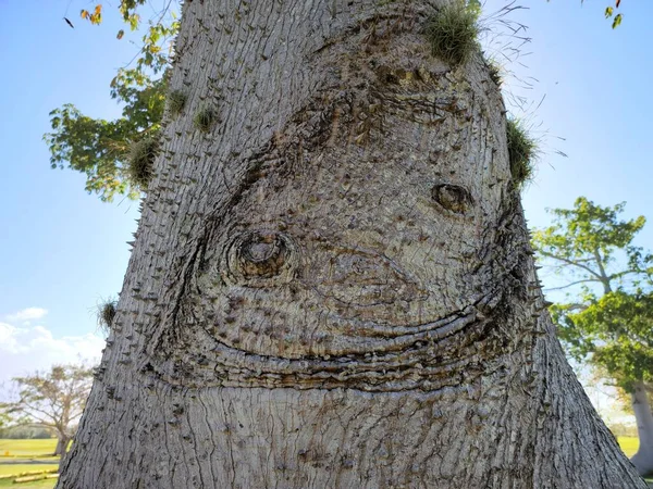 Tree with mouth Stock Photos, Royalty Free Tree with mouth Images ...