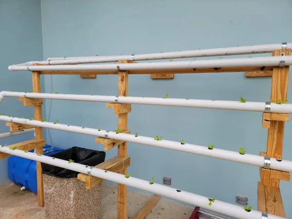 Hydroponic setup Stock Photos, Royalty Free Hydroponic setup Images ...