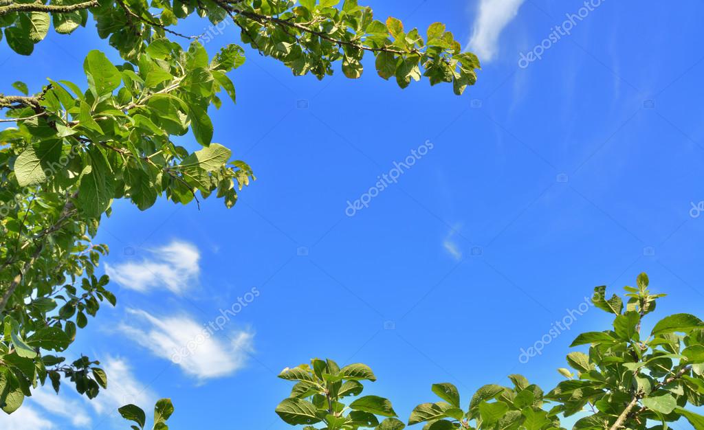 Blue sky. — Stock Photo © itsmejust #32973069