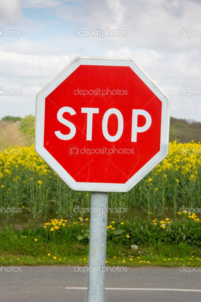 STOP traffic sign — Stock Photo © doethion #26781313