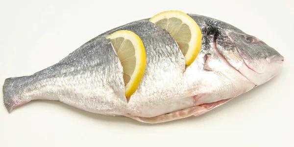 Butterfish Stock Photos, Royalty Free Butterfish Images | Depositphotos