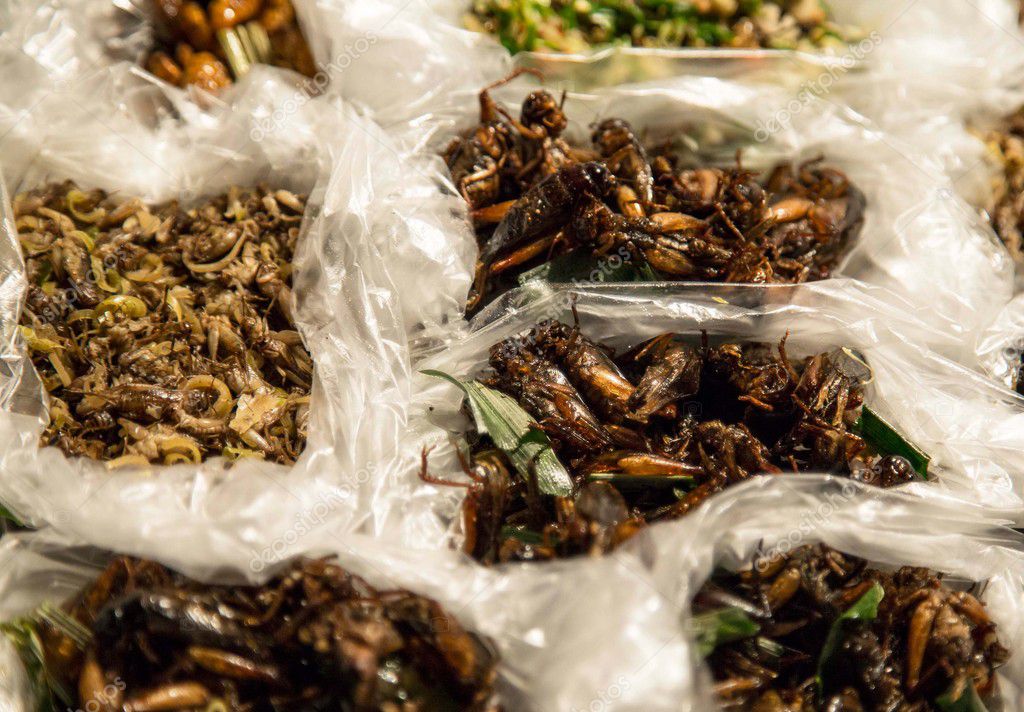 Fried insects in plastic bags Stock Photo by ©Segmed87 30650713