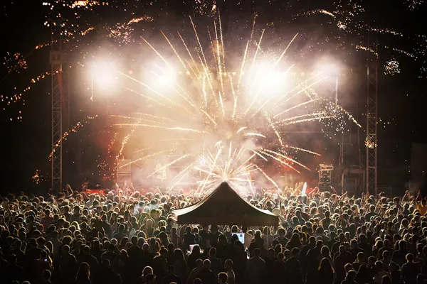 Punk crowd Stock Photos, Royalty Free Punk crowd Images | Depositphotos®