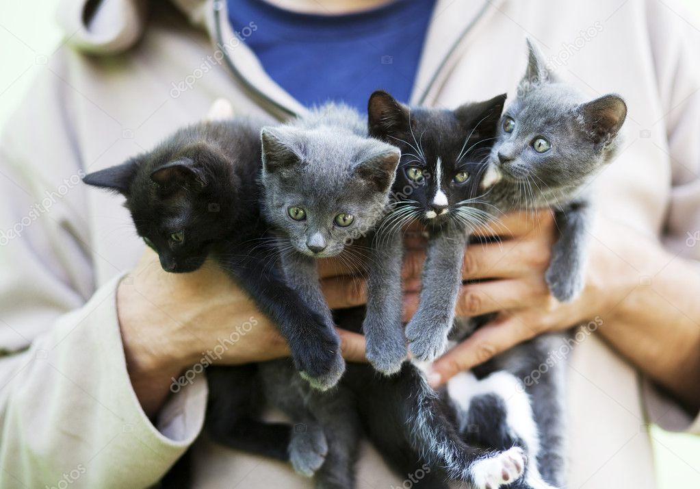 Woman holding cute black kittens — Stock Photo © melis82 #31757873 Woman holding cute black kittens — Stock Photo © melis82 #31757873
