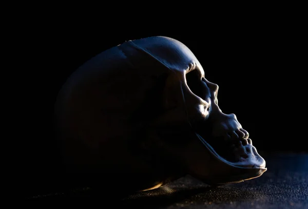 Scary Human Skull Horror Halloween Stock Photo by ©melis82 615566076