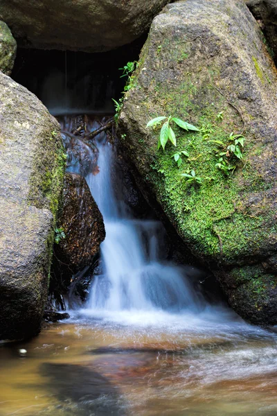 Small waterfalls Stock Photos, Royalty Free Small waterfalls Images ...