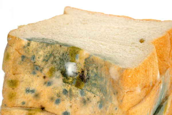 Moldy slice of moldy bread Stock Photos, Royalty Free Moldy slice of ...