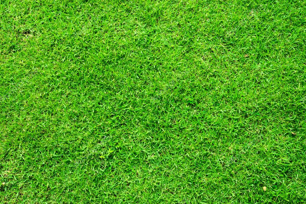 Modèle vert gazon artificiel, texture pour le fond — Photographie ...