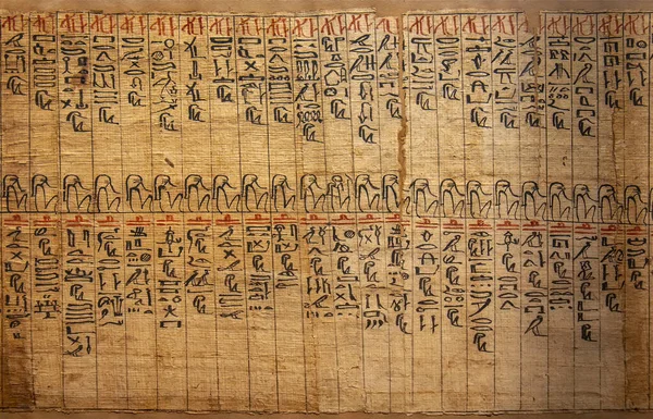 Processing of papyrus Stock Photos, Royalty Free Processing of papyrus ...