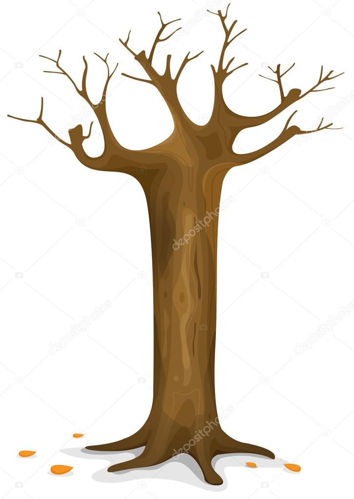 Cartoon Tree With Branches No Leaves