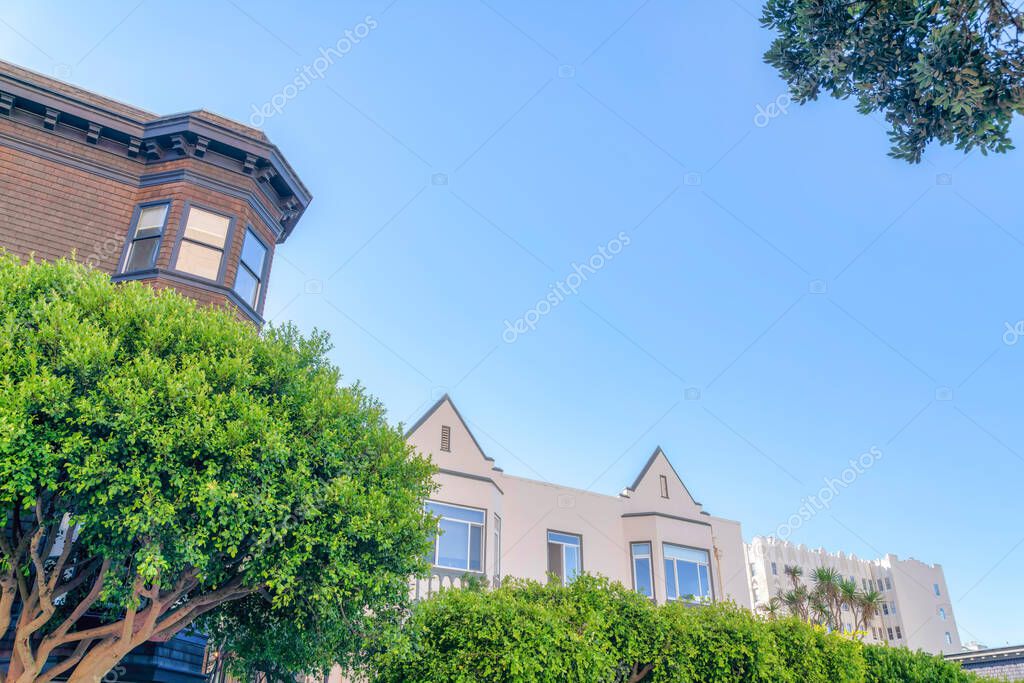 Green leaves of trees partially covering the residential buildings in ...