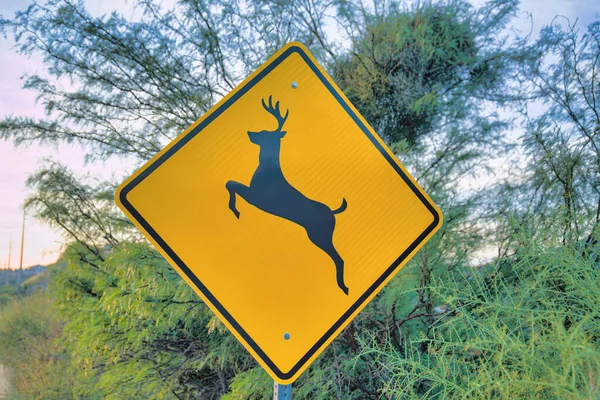 Diagonal yellow deer crossing sign warning at Tucson, Arizona. Close-up ...