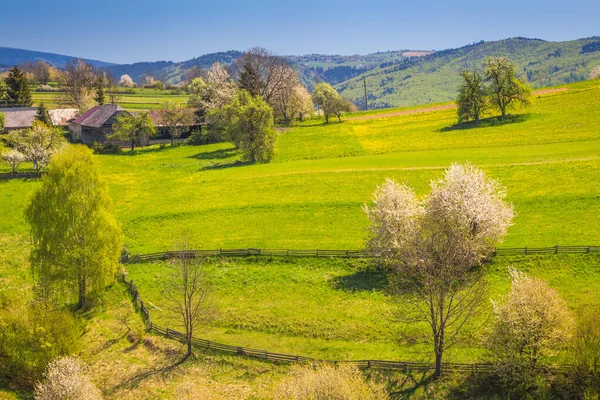 Romania landscape spring Stock Photos, Royalty Free Romania landscape ...