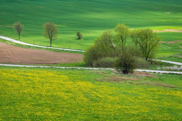 Romania landscape spring Stock Photos, Royalty Free Romania landscape ...