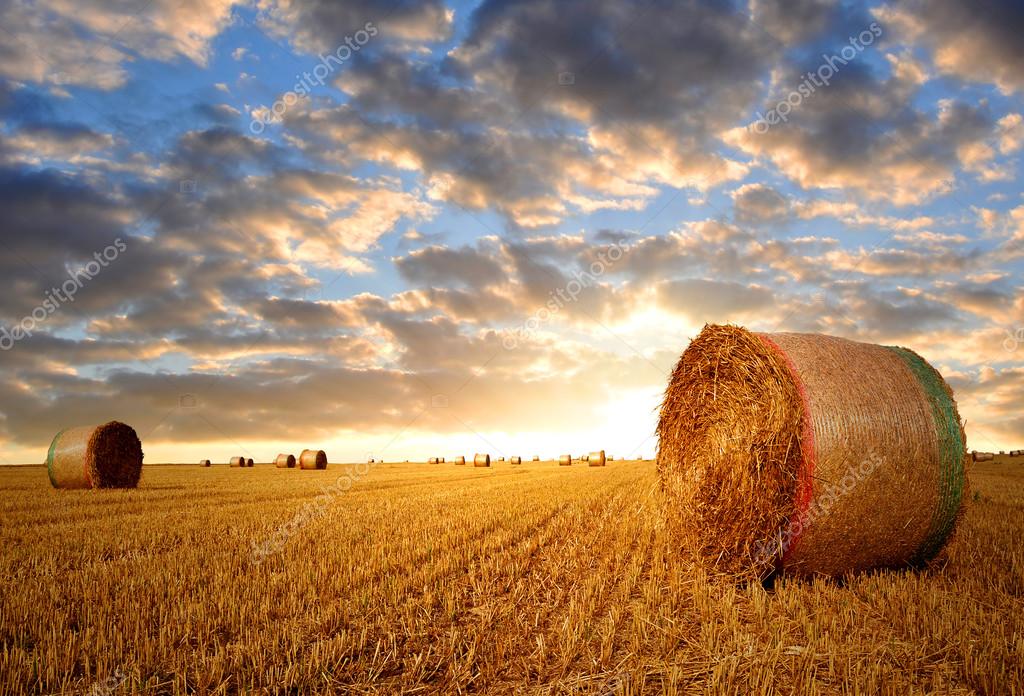 Straw bales Stock Photo by ©vencav 12703597