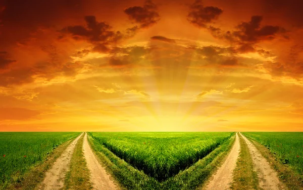 Field way — Stock Photo © vencav #11640206