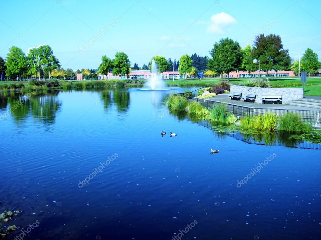 Artificial Lake