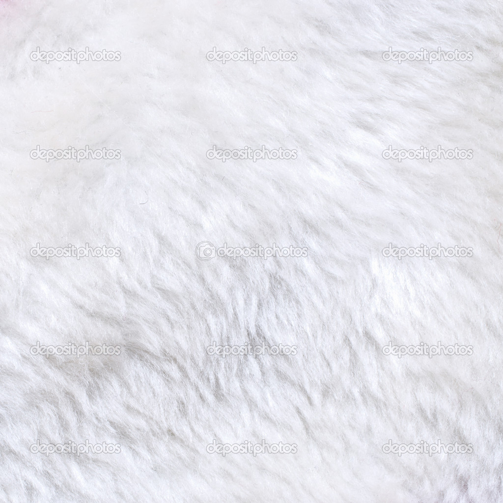 White fur texture — Stock Photo © ccat82 #19951175