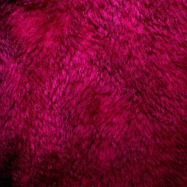 Purple fur texture - Stock Image - Everypixel