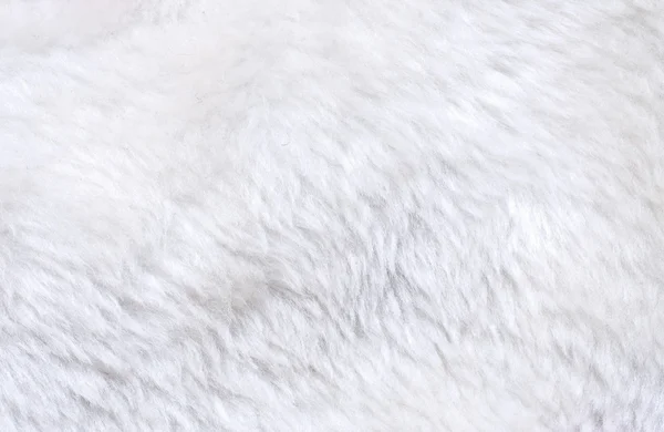White fur texture — Stock Photo © ccat82 #19951175