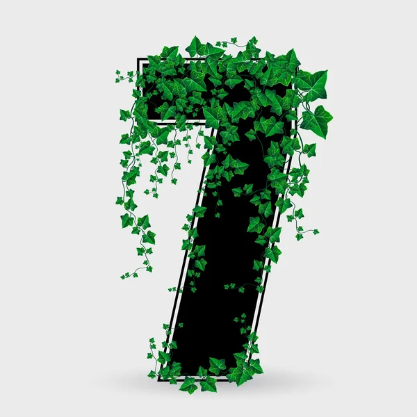 Ivy leaf Vector Art Stock Images | Depositphotos