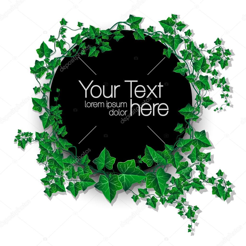 Ivy leaf decorated vector illustration Stock Vector by ©jugulator 33700583