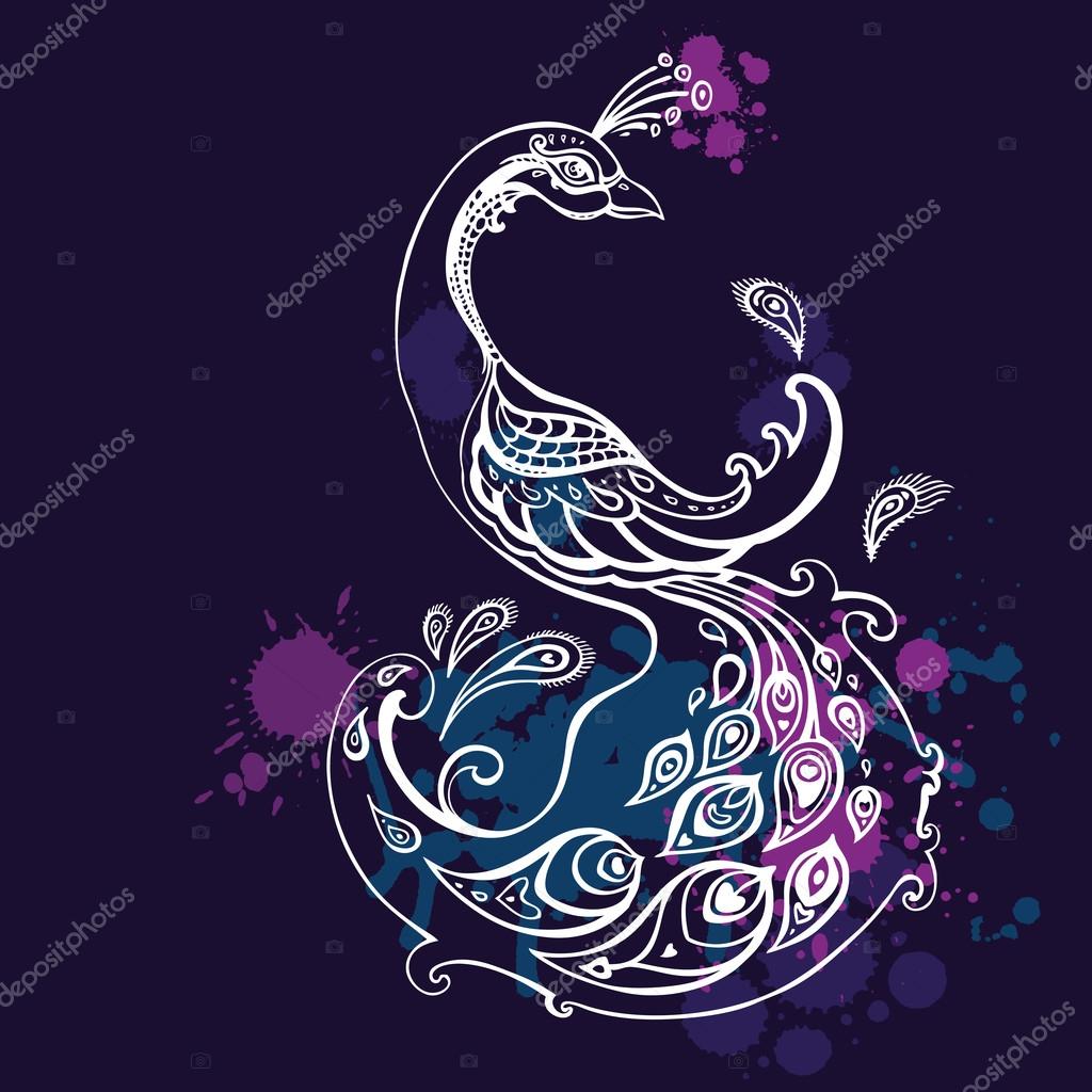 Peacock Stock Vector Image By ©katyaulitina 42763577