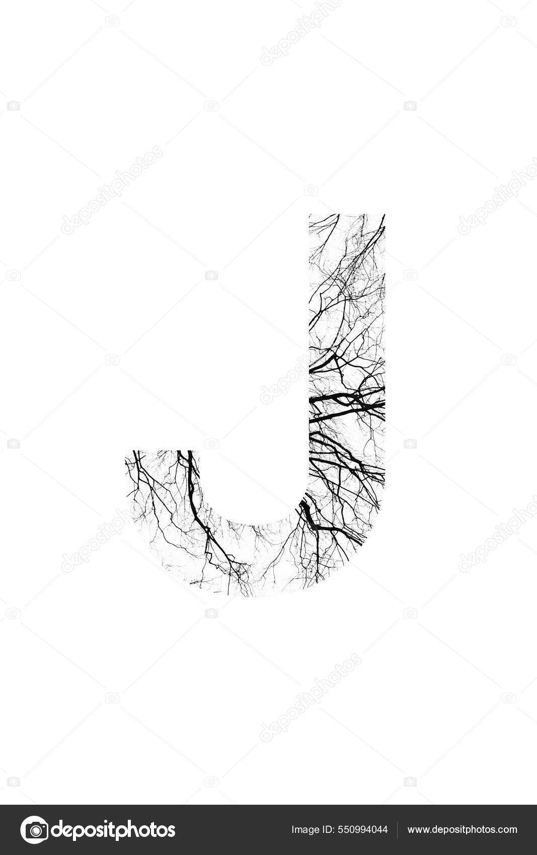 Tree Font Style Natural Font — Stock Photo © blazerrss #550994044