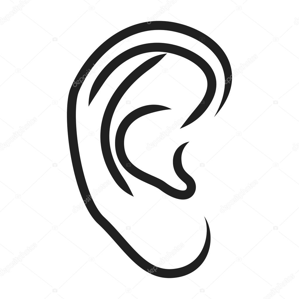 The human ear — Stock Vector © nikolae #18670677