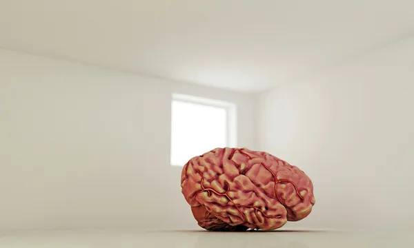 ᐈ Blank brain stock pictures, Royalty Free empty brain images ...