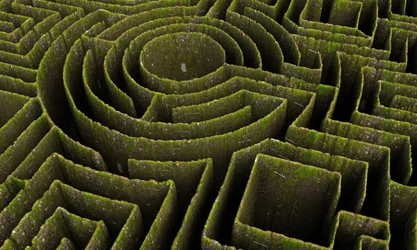 Green maze Stock Photos, Royalty Free Green maze Images | Depositphotos®