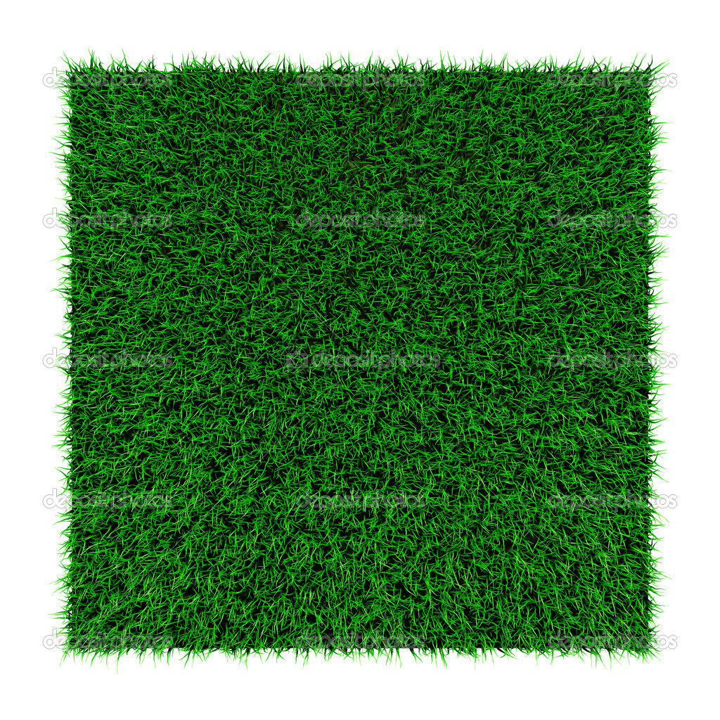 Grass squared — Stock Photo © homeworks255 #42119611