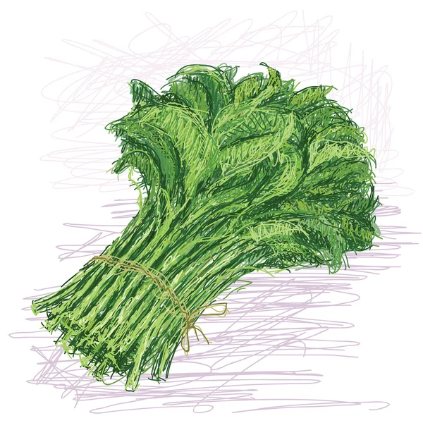 81 Kangkong Vector Images | Depositphotos