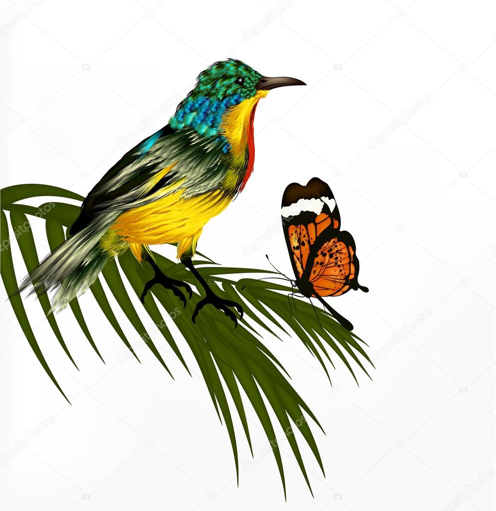 Picsart Bird Png Hd | ppgbbe.intranet.biologia.ufrj.br