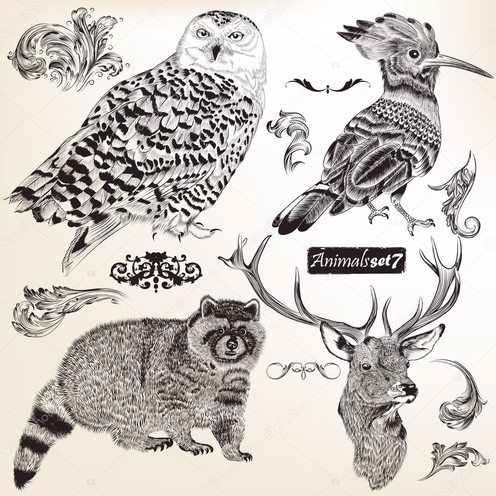 Collection of vector hand drawn animals Stock Vector Image by ...