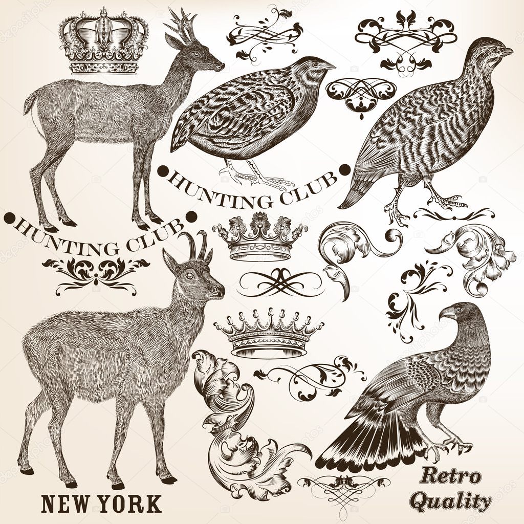 Vector Hand Drawn Decorative Vintage Abc Stock Vector